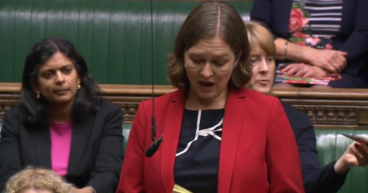 In Parliament - Fleur Anderson MP